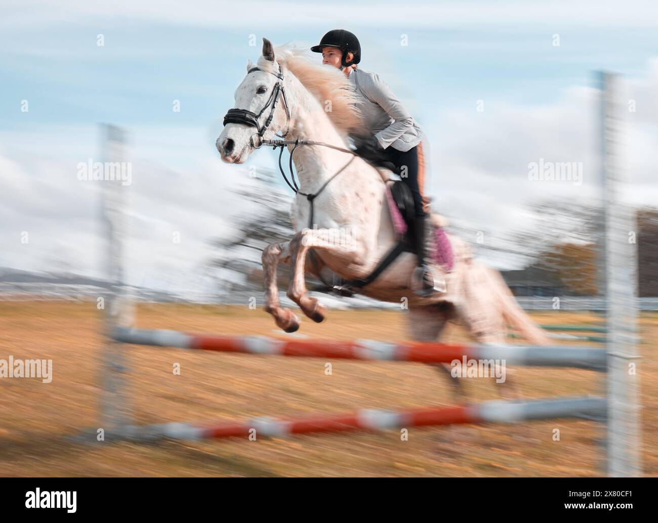 Woman, horse and jump obstacle in outdoor, countryside and equestrian ...