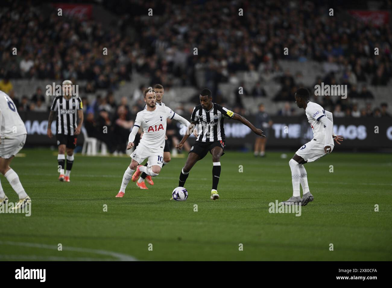 MELBOURNE, AUSTRALIA. 22 May 2024. Pictured: Newcastle United forward ...