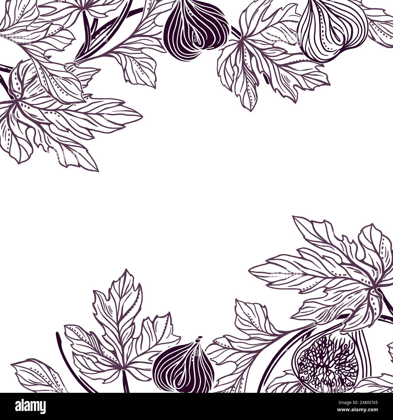 Figs twig leaves fruits Stock Vector Images - Alamy