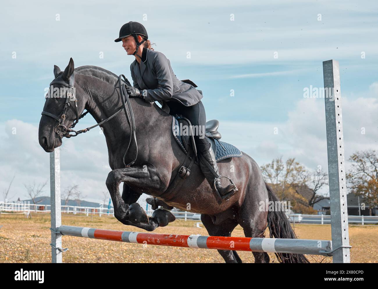 Woman, horse and jump hurdle on farm, countryside and equestrian riding ...