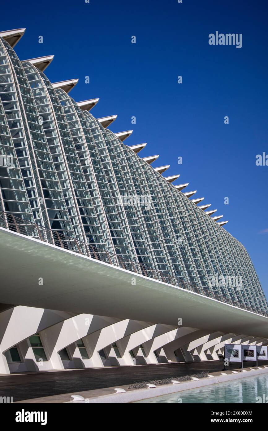 Valencia's Architectural Gem: The Prince Philip Science Museum - A ...