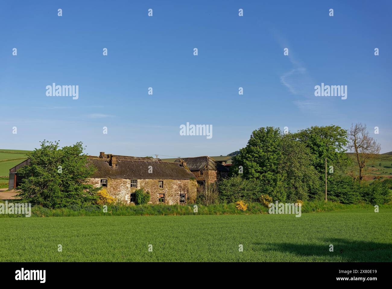 The ruins of a traditional Scottish Farmhouse and Farm Buildings, stone ...