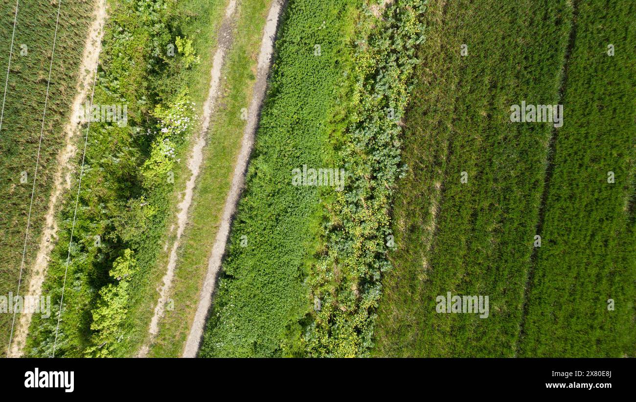 Aerial view of Arable Margins between fields on farmland near the ...
