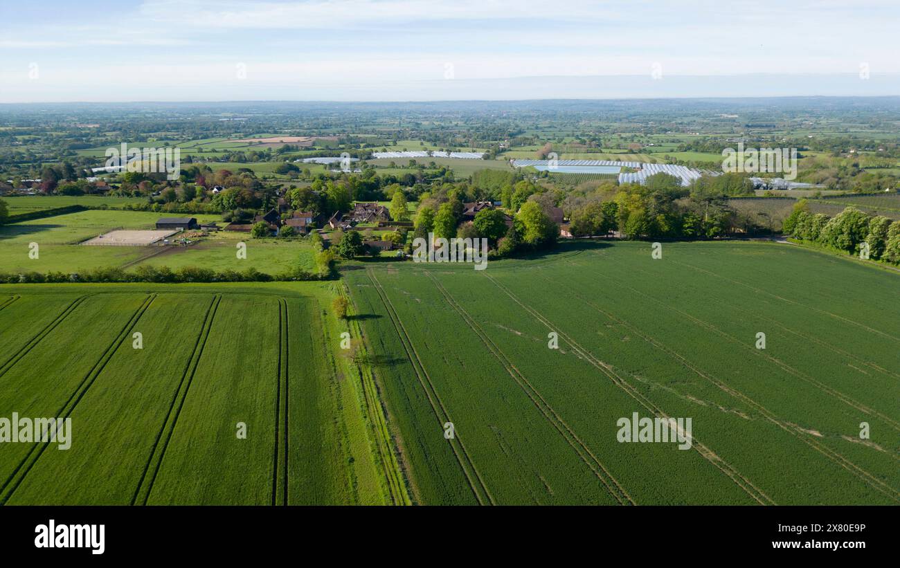 Aerial view of farmland near the village of Chart Sutton, Maidstone ...