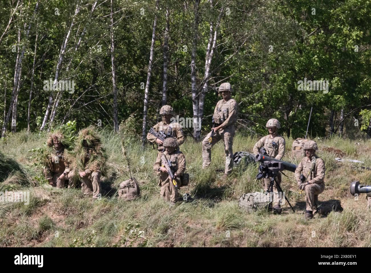 Exercise Immediate Response ground exercise, part of NATO’s exercise ...