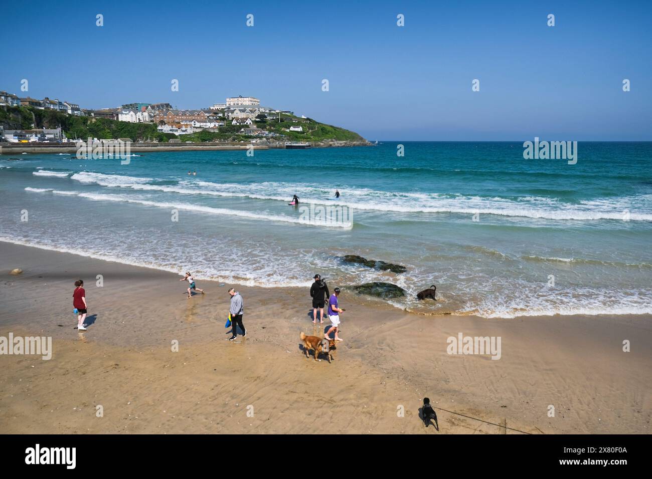 Towan Beach in Newquay in Cornwall in the UK Stock Photo - Alamy