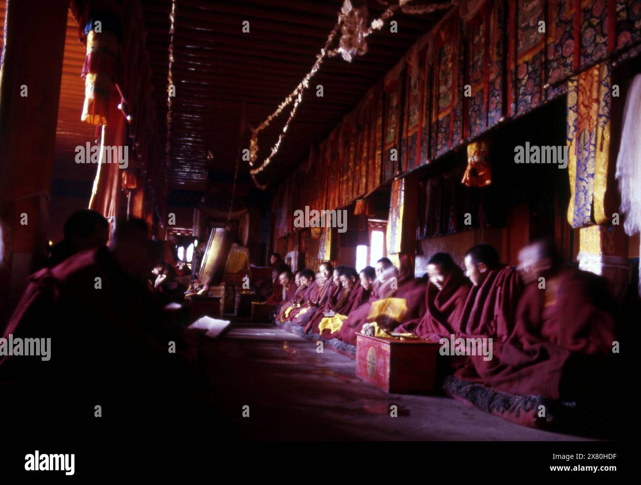 Monks (Lama) at prayer Stock Photo - Alamy