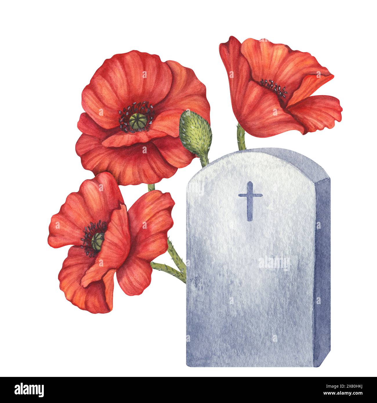 Red poppy flowers and gravestone symbol of war, Memorial Day in the USA ...