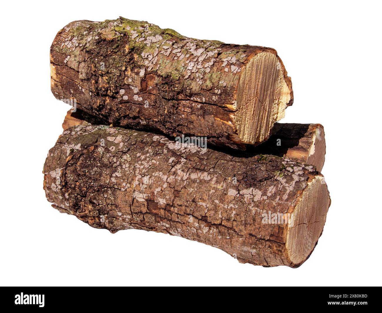 Freshly Cut Firewood Logs Piled Together On White Background In ...