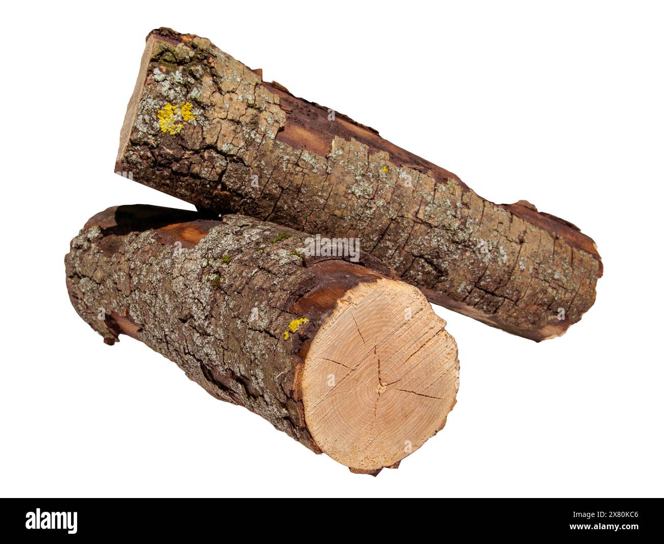 Freshly Cut Firewood Logs Piled Together On White Background In ...