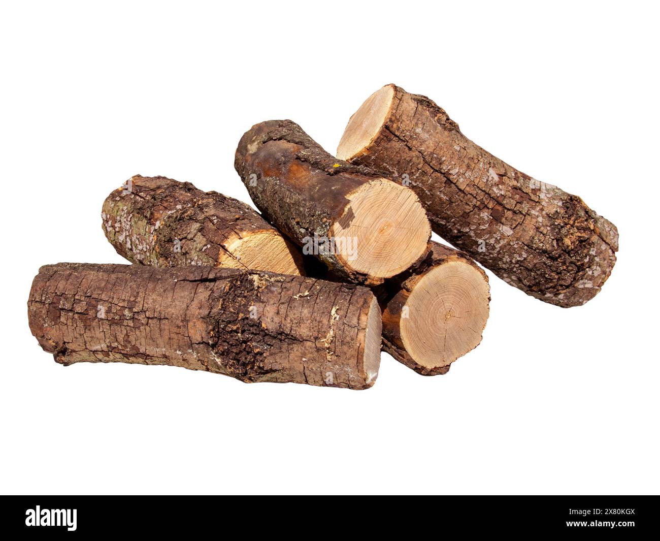 Freshly Cut Firewood Logs Piled Together On White Background In ...