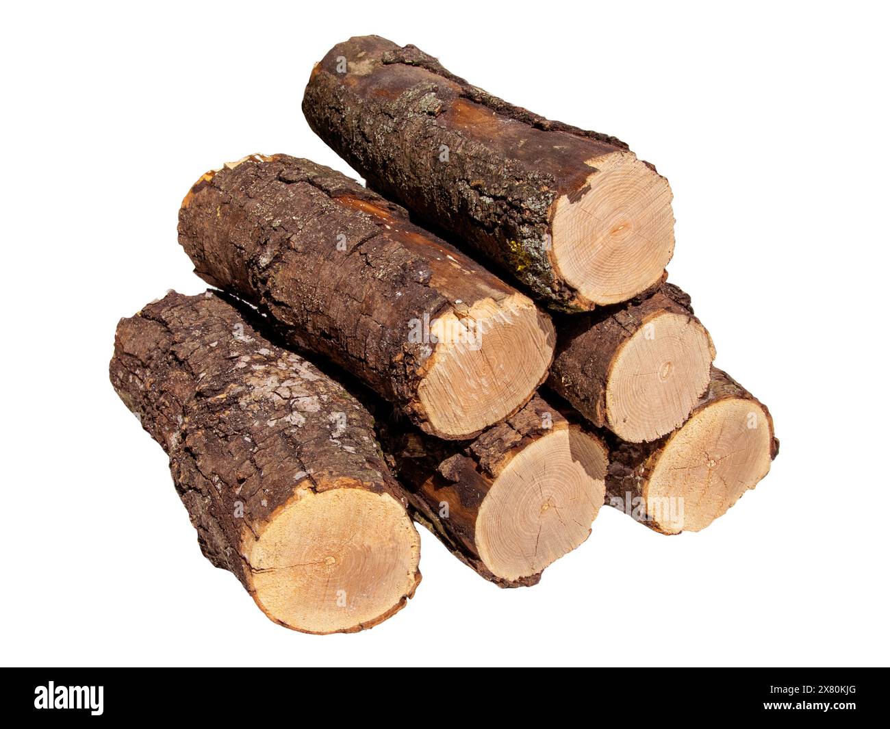 Freshly Cut Firewood Logs Piled Together On White Background In ...