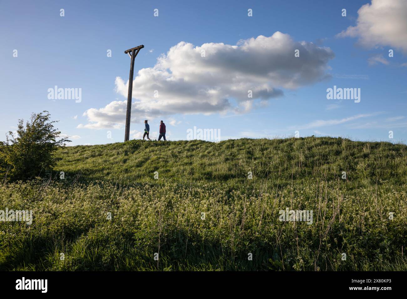 Combe gibbet on top of Inkpen Hill in afternoon spring sunlight, Inkpen ...