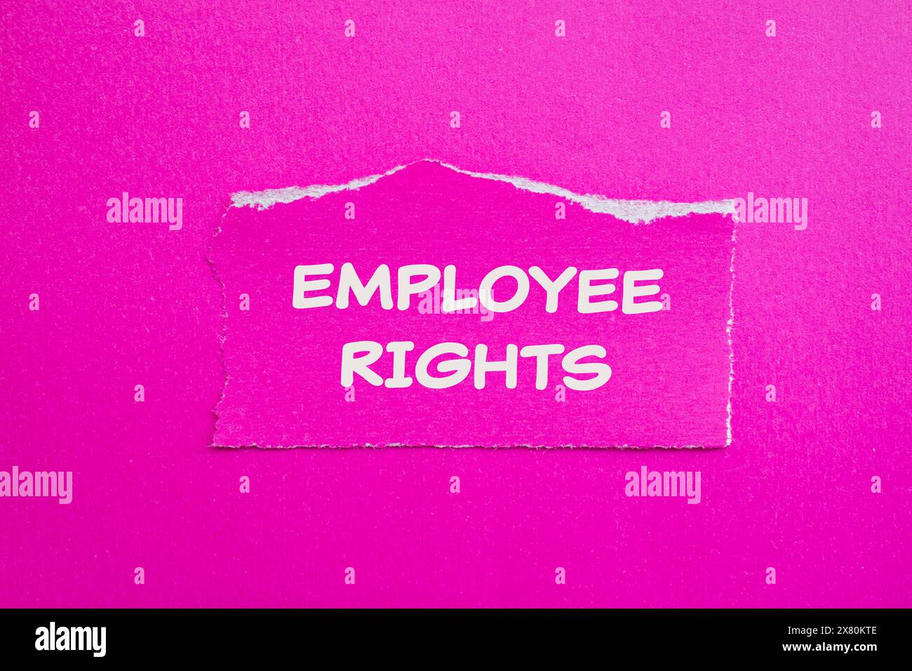 Employee rights words written on ripped paper with pink background ...