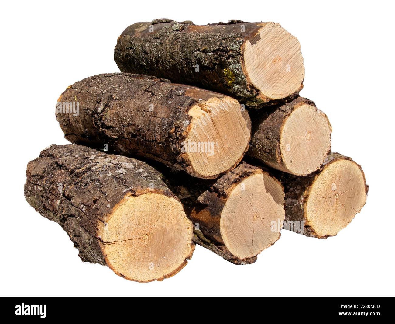 Freshly Cut Firewood Logs Piled Together On White Background In ...
