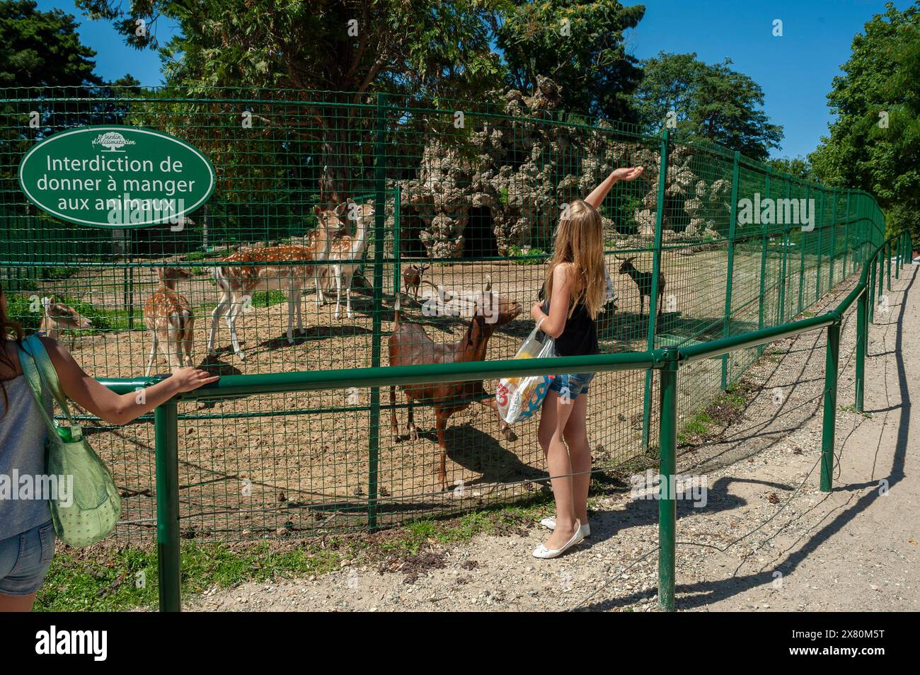 Paris, France, Teen Tourists Visiting City Zoo Feeding Animals, in ...