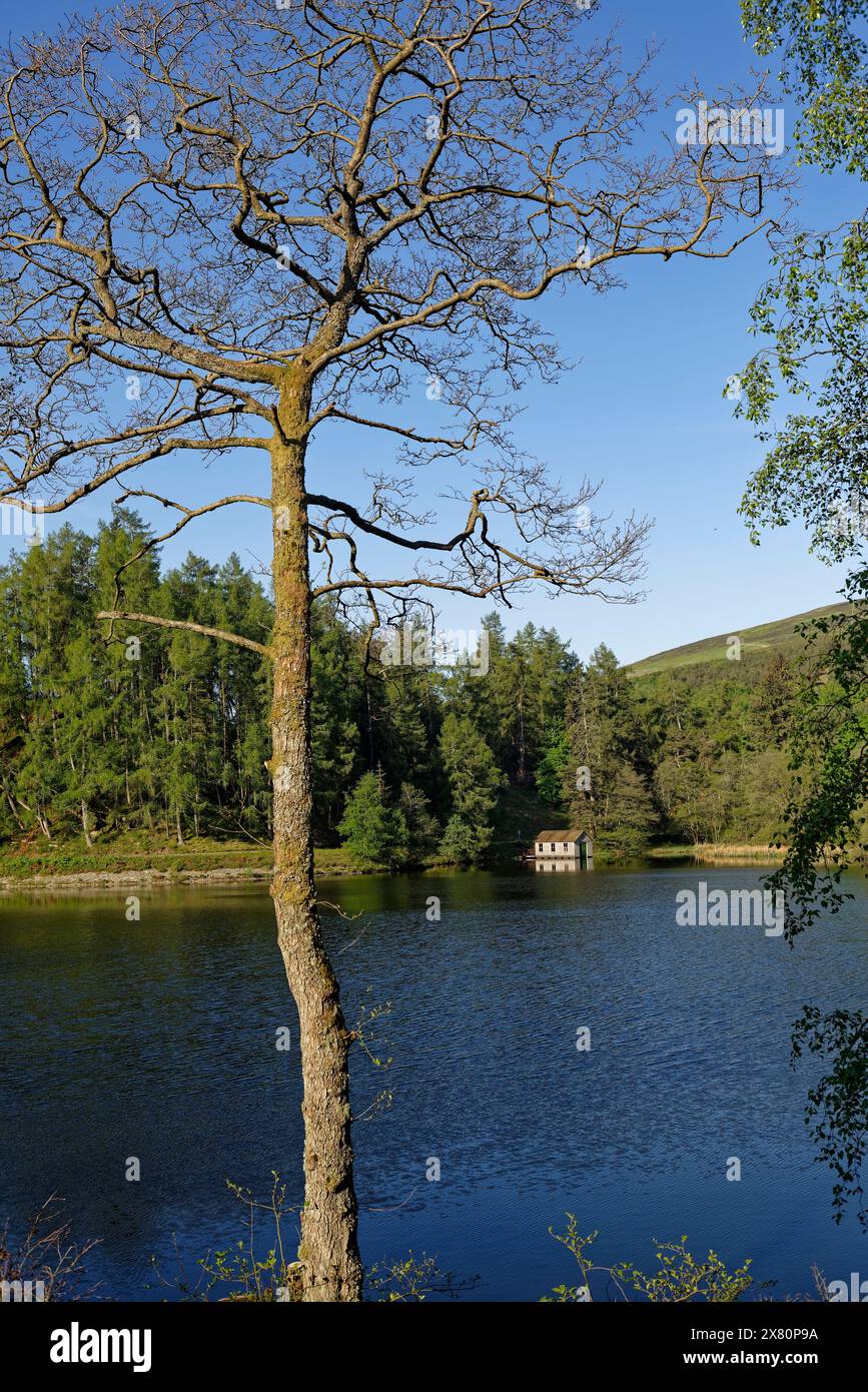 The traditional Wooden Boathouse on the Glen Ogil Reservoir, seen from ...