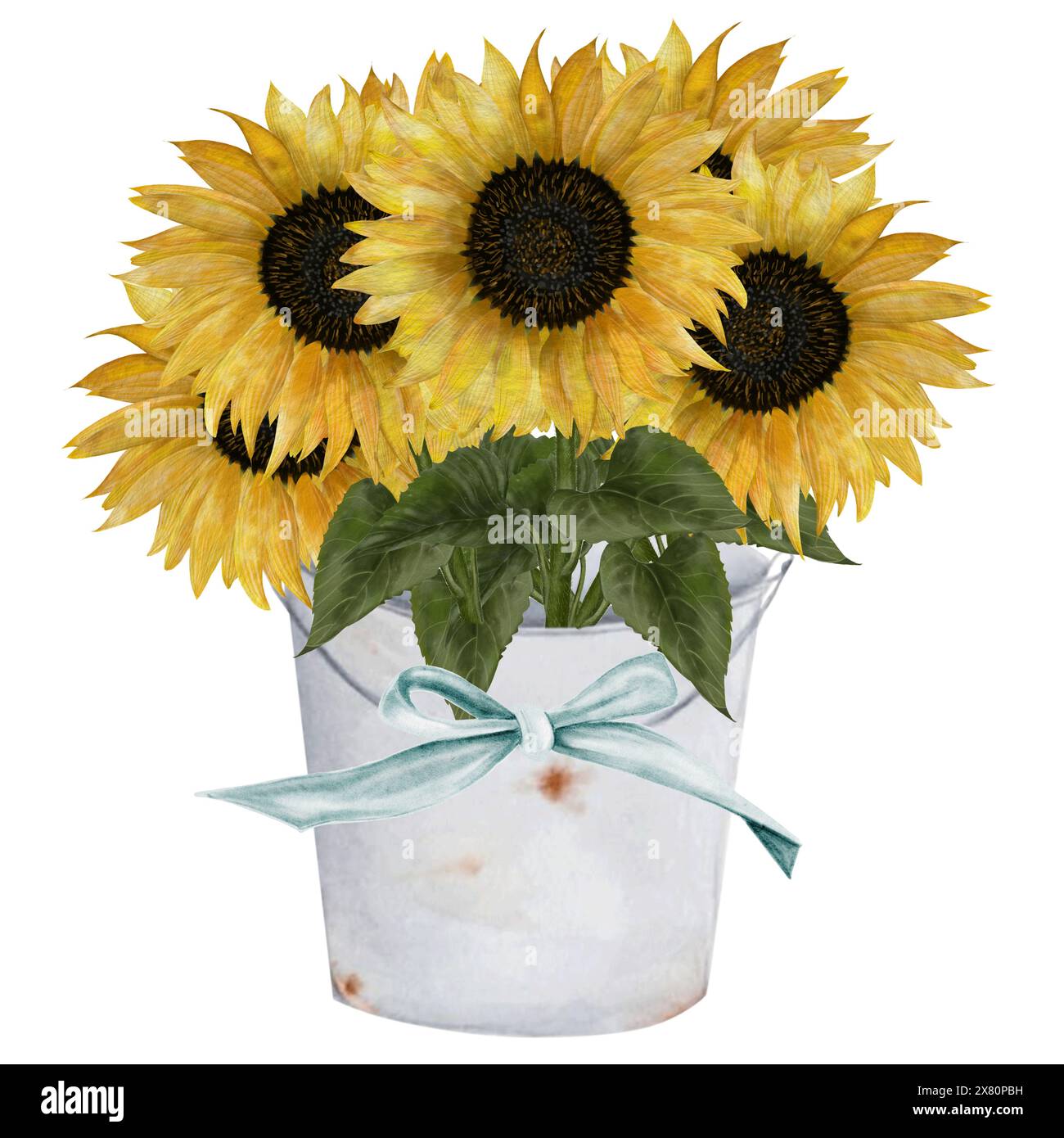 Sunflowers bouquet in a bucket watercolor. Hand drawn composition on ...
