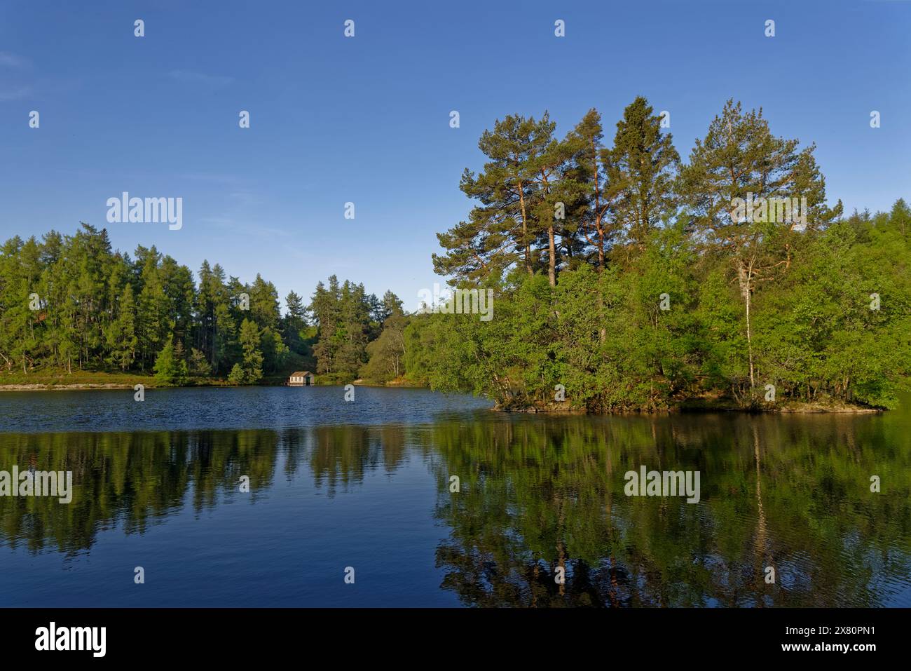 The small wooded Island on the northern margins of the Glen Ogil ...