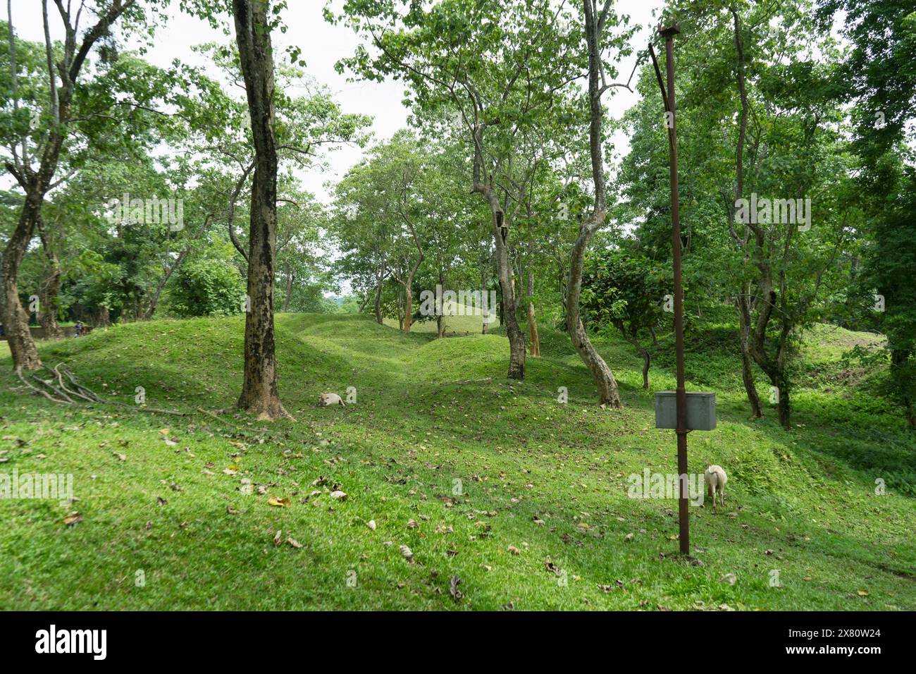 Maidam, Final resting place of Ahom kings, Ahom dynasty, Ahom kingdom ...