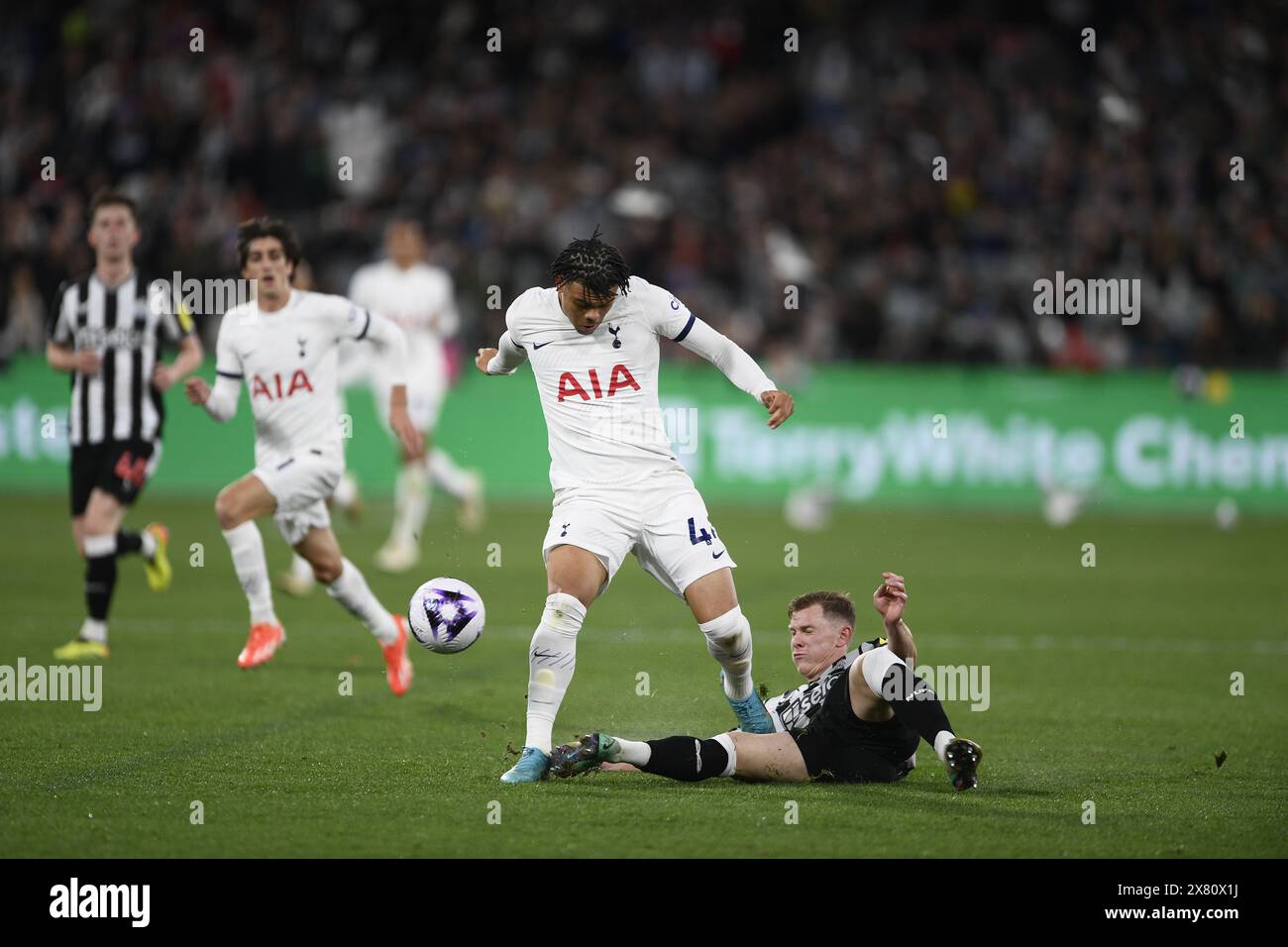 MELBOURNE, AUSTRALIA. 22 May 2024. Pictured: Tottenham Hotspur forward ...