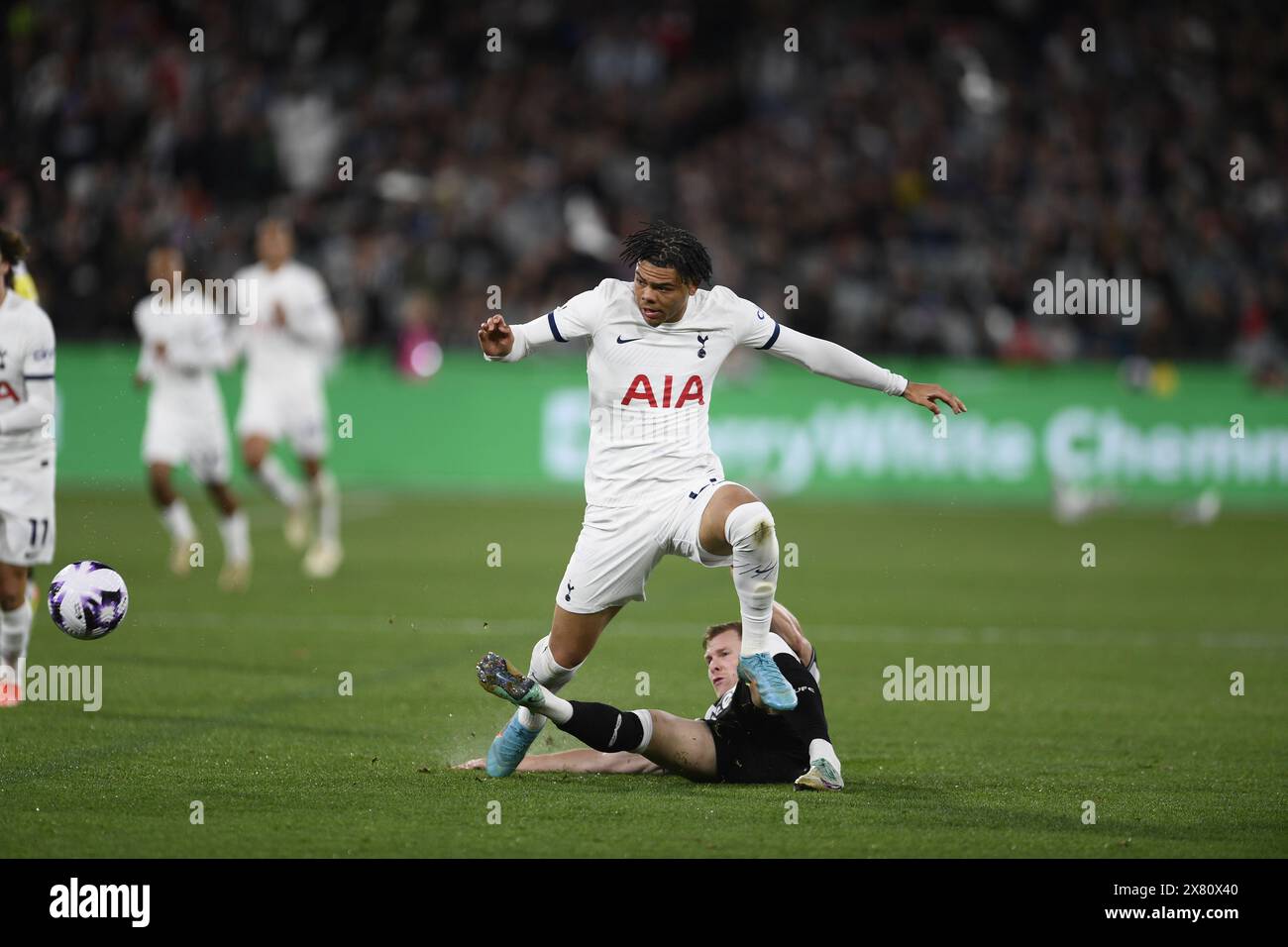 MELBOURNE, AUSTRALIA. 22 May 2024. Pictured: Tottenham Hotspur forward ...