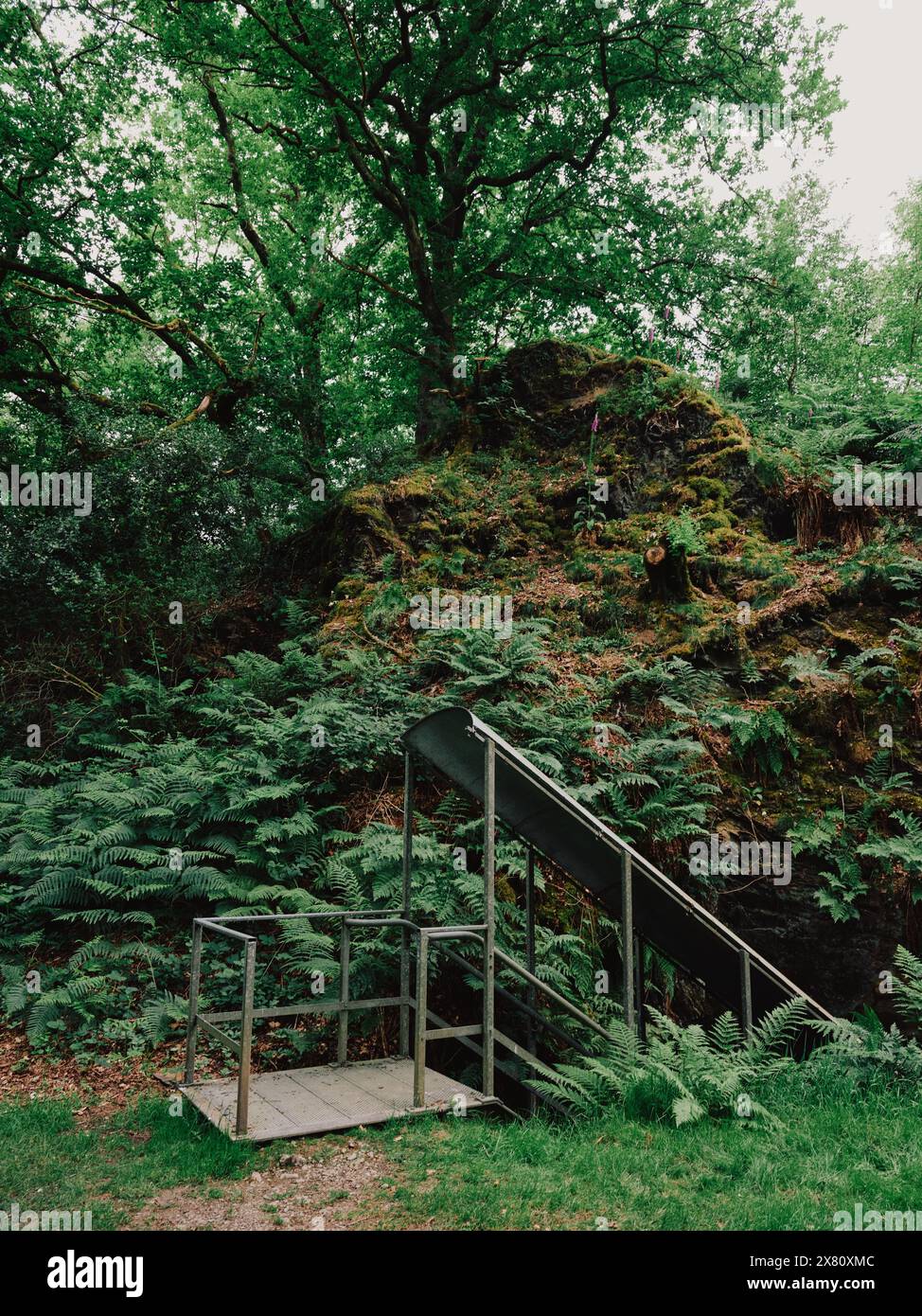 Entrance to the Dolaucothi Gold Mines / Ogofau Gold Mine, are ancient ...