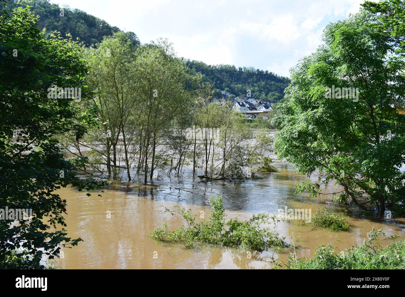 trees in the flood Stock Photo - Alamy