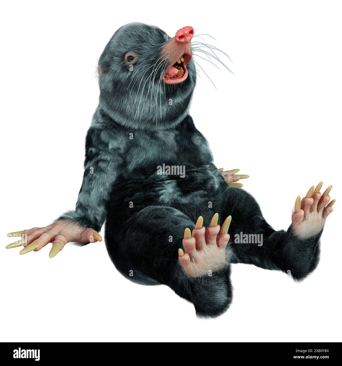 3D rendering of a mole animal isolated on white background Stock Photo ...