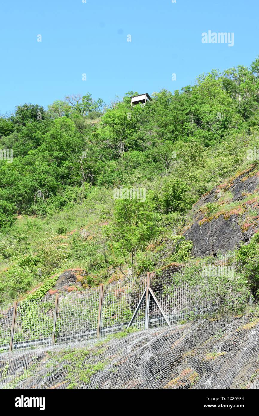 Steep vineyard in Mosel valley with a landslide Stock Photo - Alamy