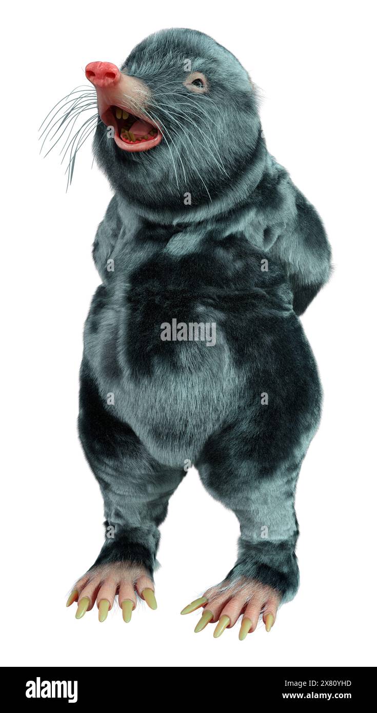 3D rendering of a mole animal isolated on white background Stock Photo ...
