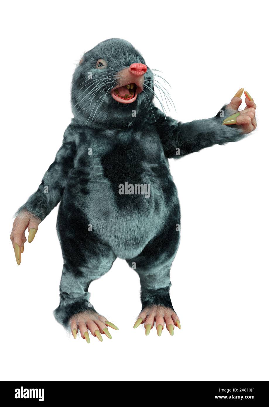 3D rendering of a mole animal isolated on white background Stock Photo ...