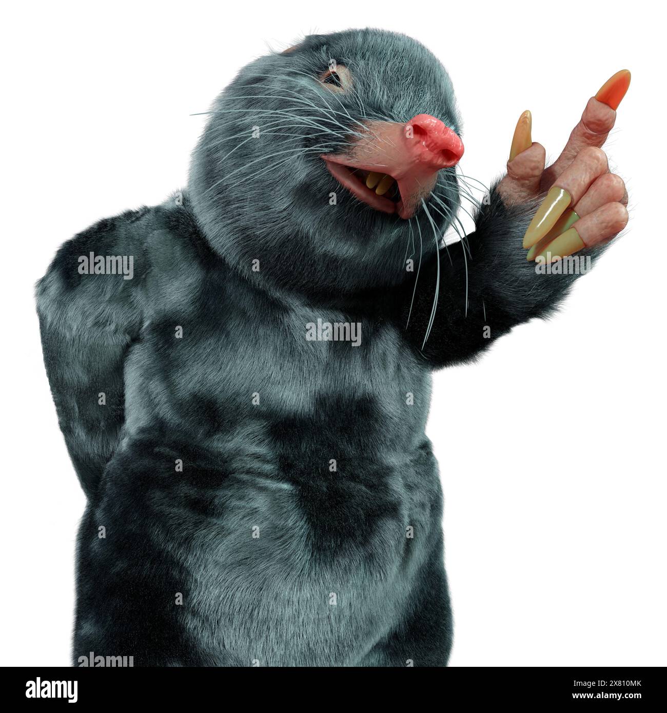 3D rendering of a mole animal isolated on white background Stock Photo ...