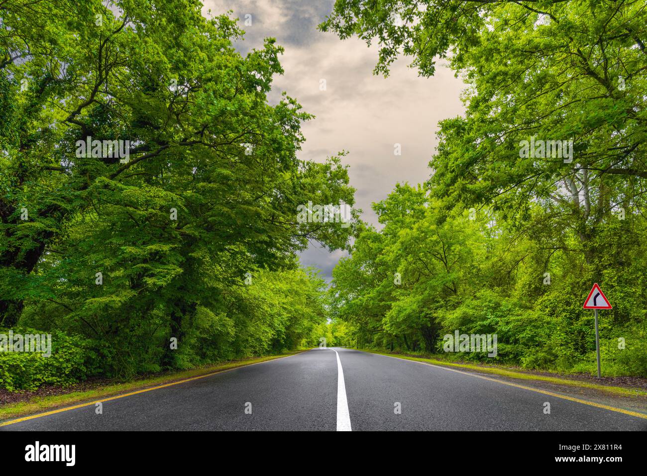 Asphalt road markings among hi-res stock photography and images - Alamy