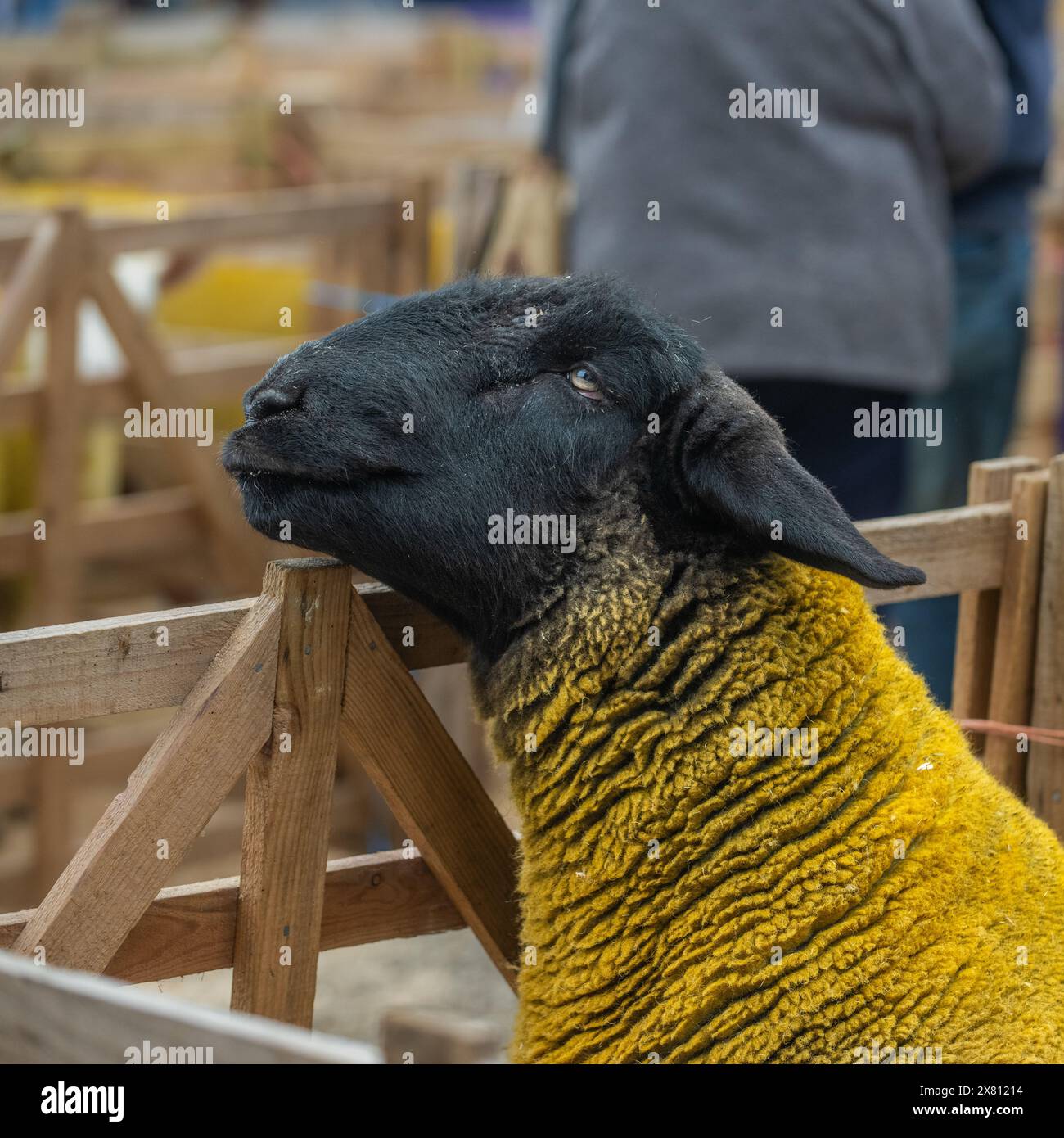 Purl dip hi-res stock photography and images - Alamy
