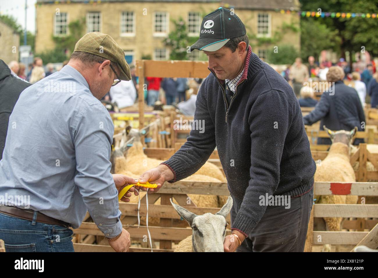 Judge presenting a rosette to the owner of a winning sheep at the ...