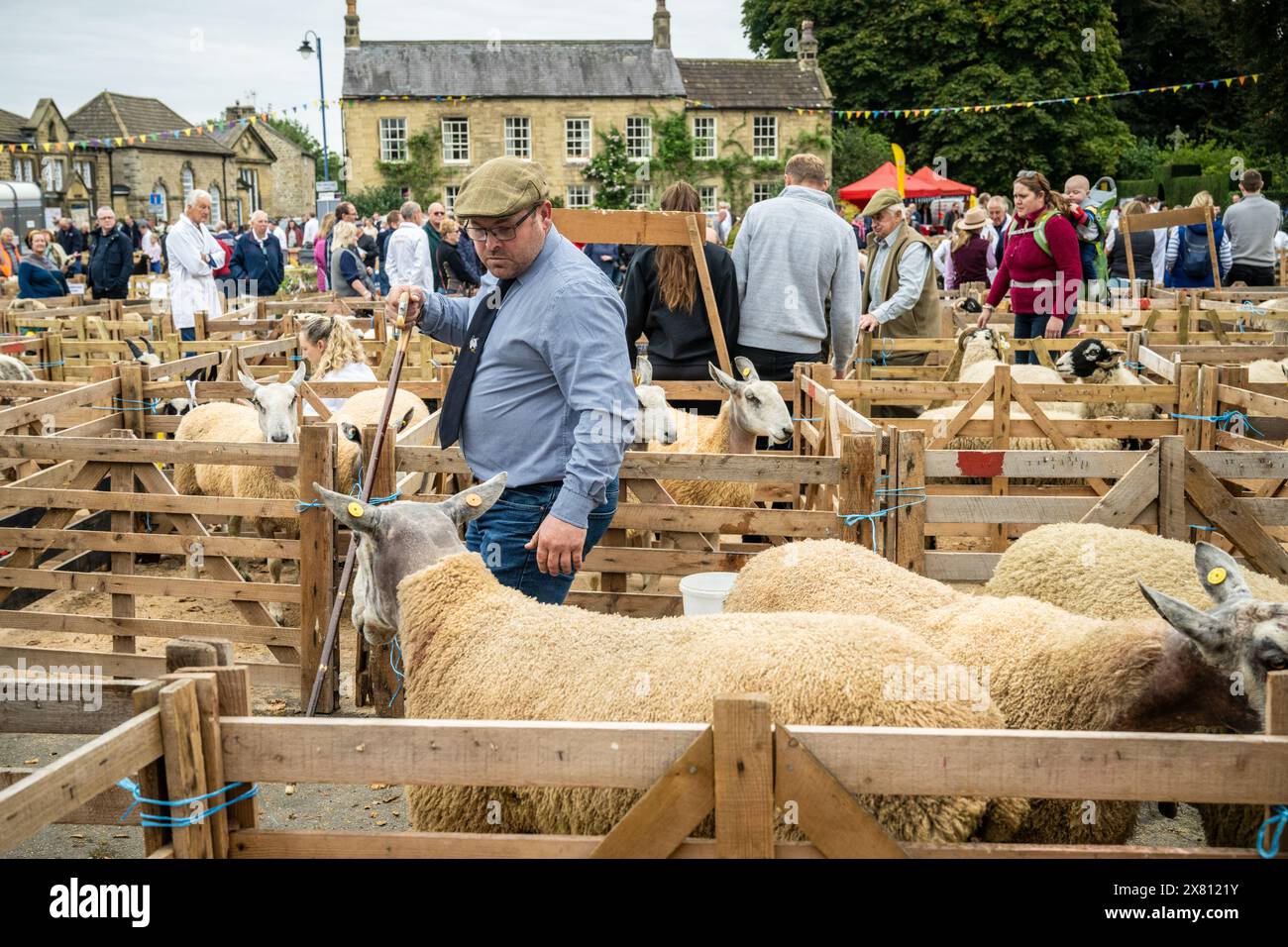 Male judge wearing a traditional flat cap, holding a shepherd's crook ...