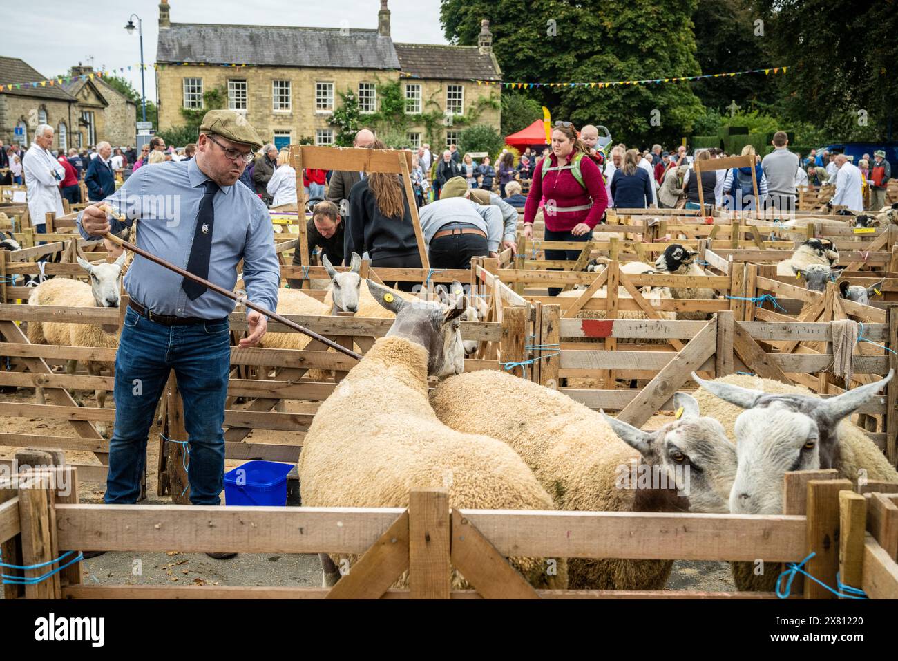 Male judge wearing a traditional flat cap, holding a shepherd's crook ...