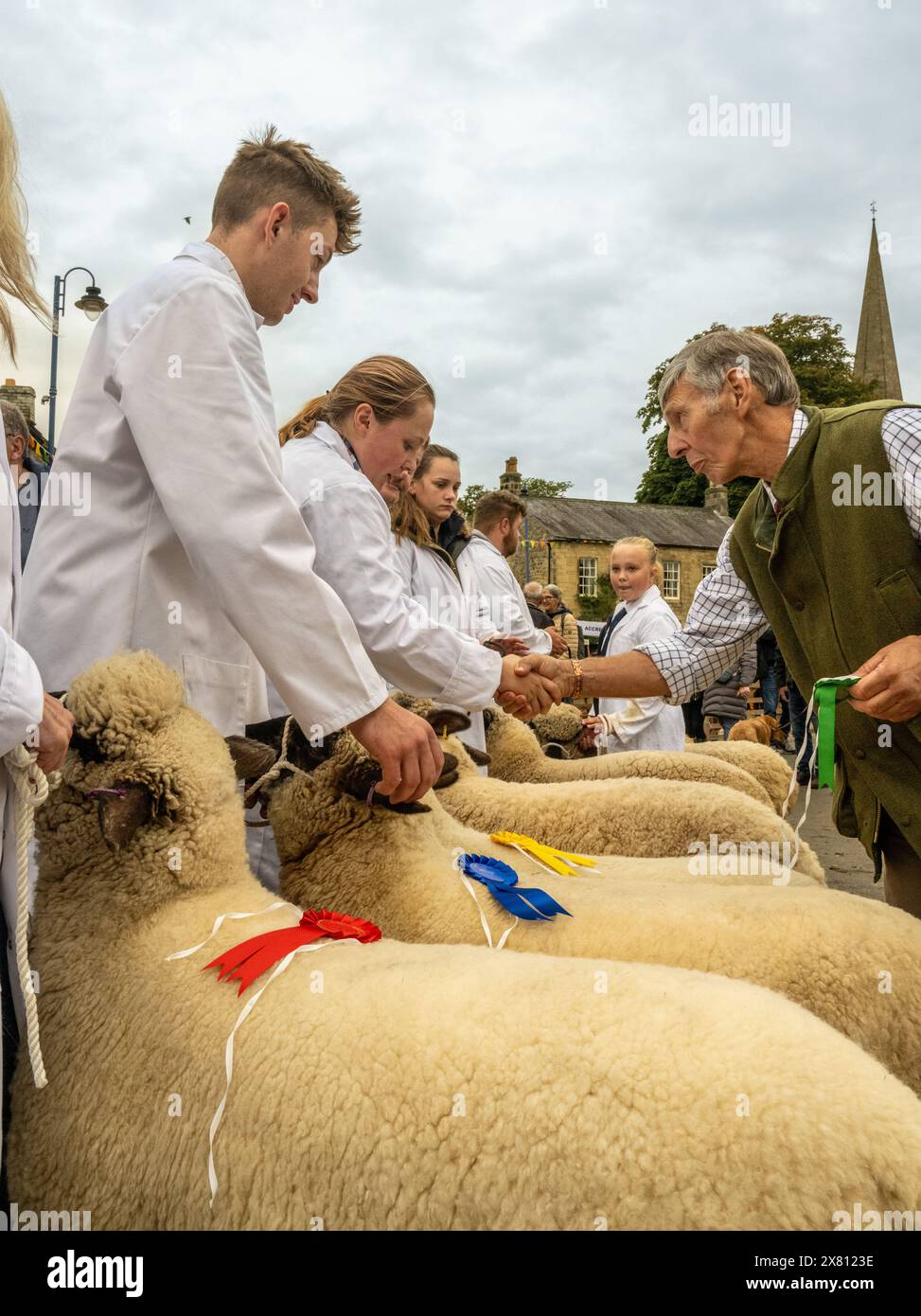 Judge placing rosettes on the winning sheep as their young owners ...