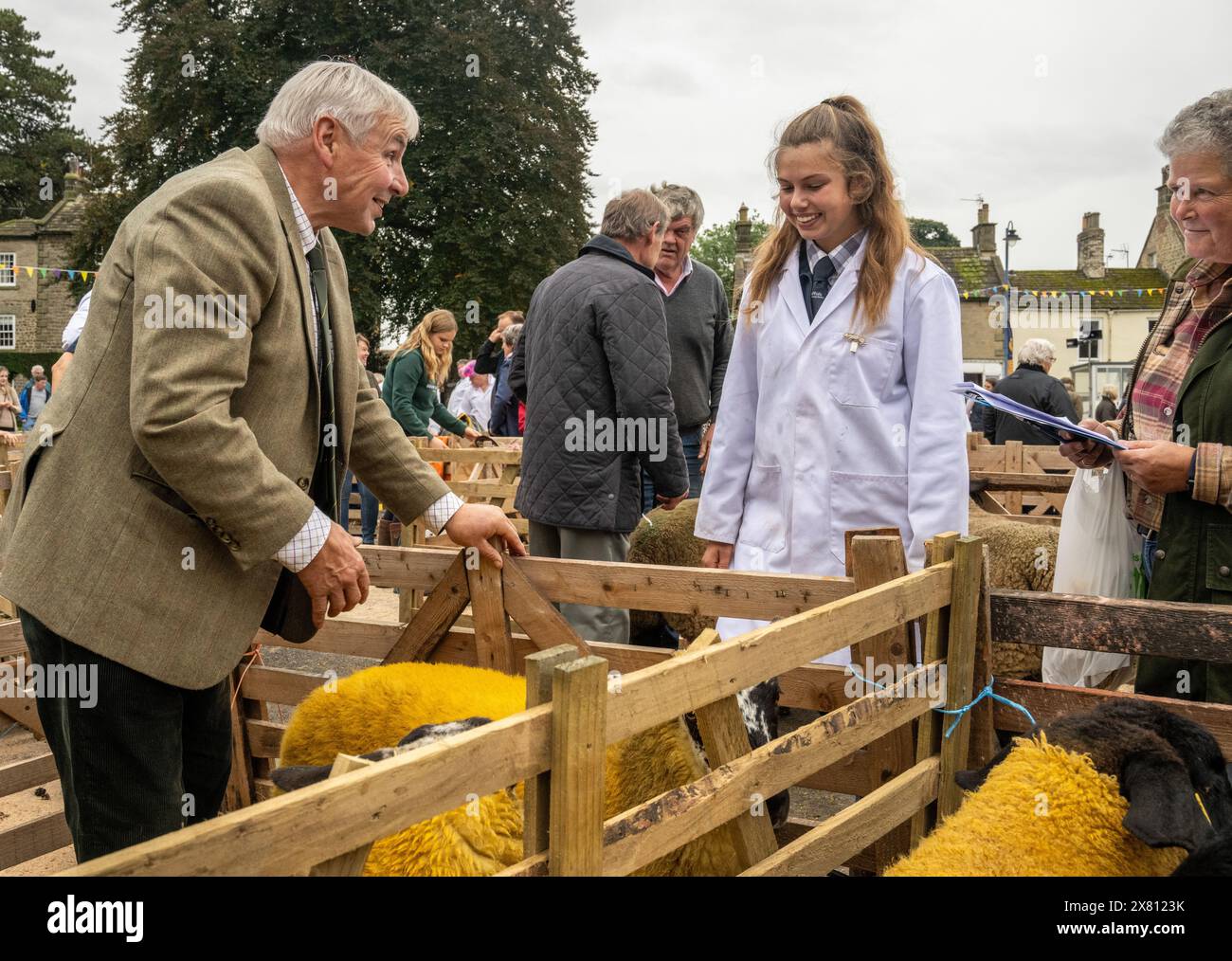 Judge inspecting sheep while their owner, dressed in a white coat ...