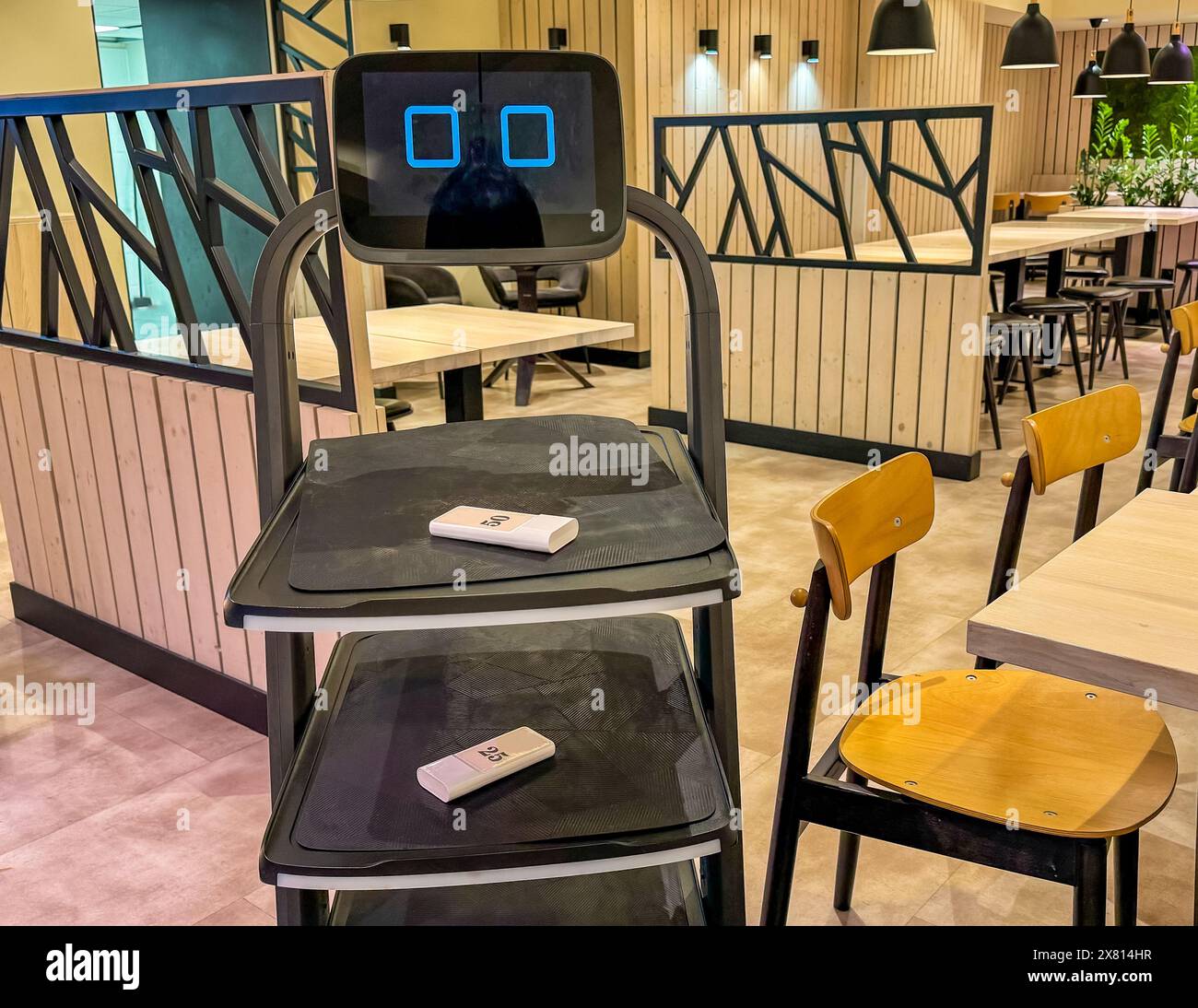 Robot waiter serve food at modern restaurant, delivery order to ...