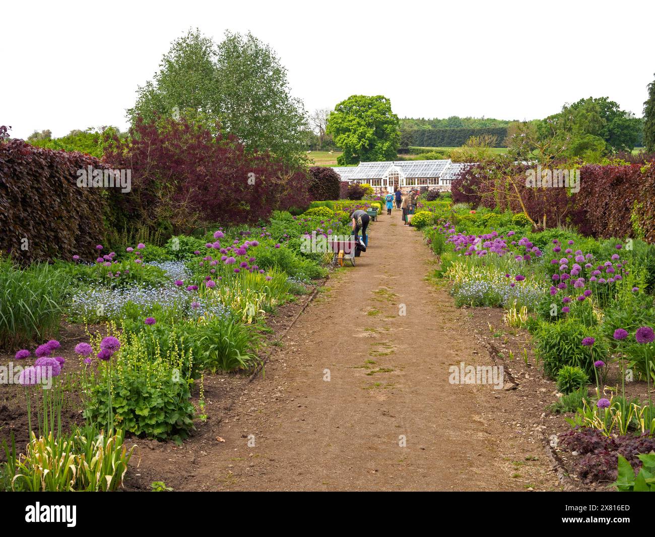 Helmsley Walled Garden the long flower border in late Spring Stock ...