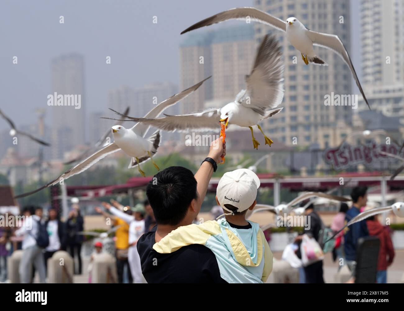 Scenic spots in dalian hi-res stock photography and images - Alamy