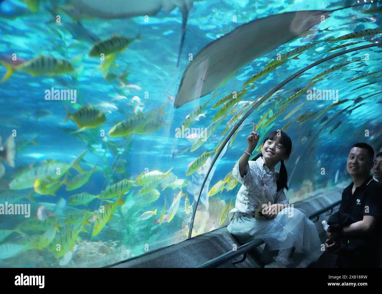 Dalian, China's Liaoning Province. 22nd May, 2024. Tourists view sea ...