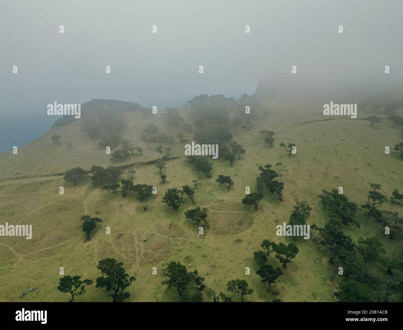 Aerial view fanal forest hi-res stock photography and images - Alamy