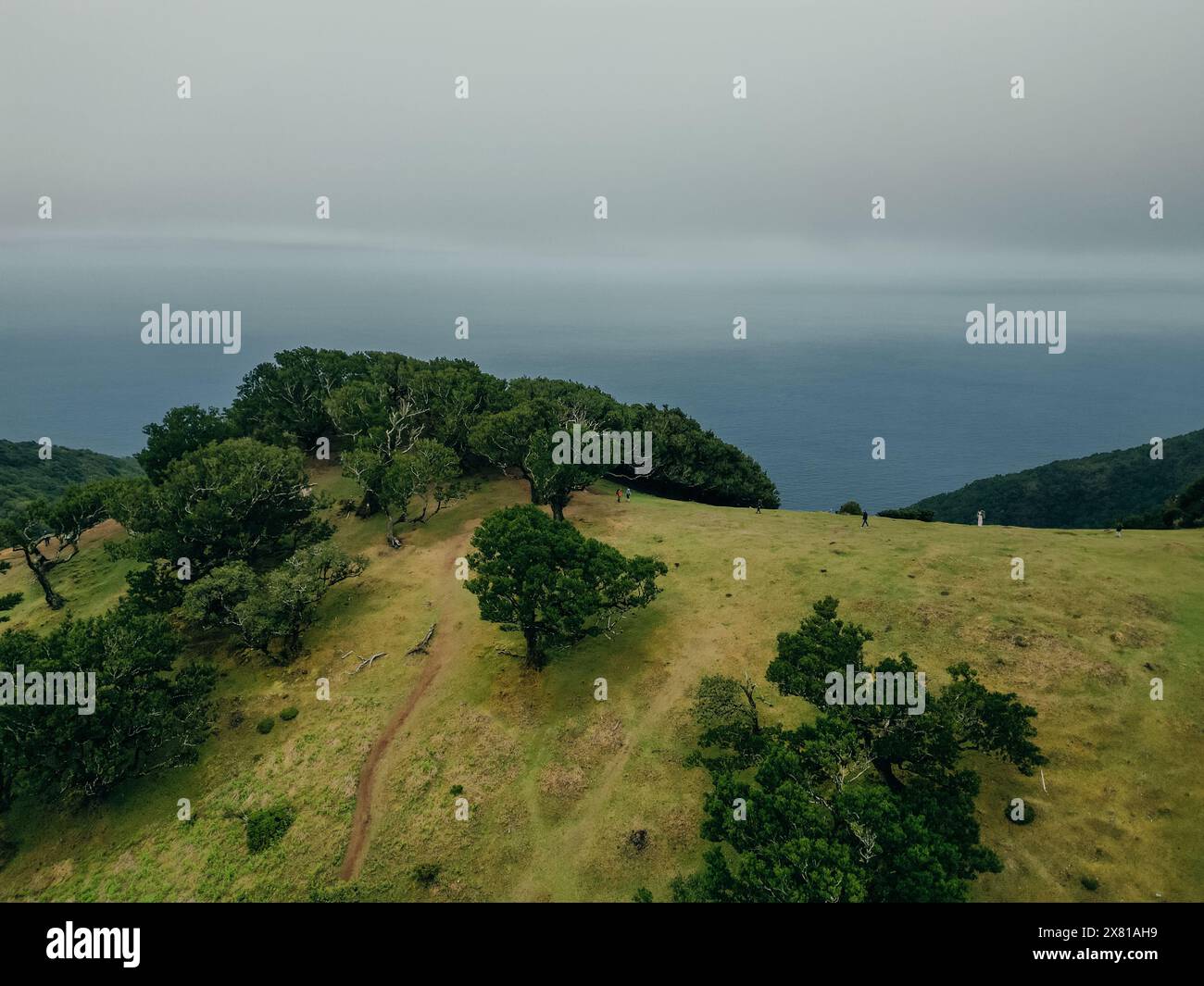 Aerial view fanal forest hi-res stock photography and images - Alamy