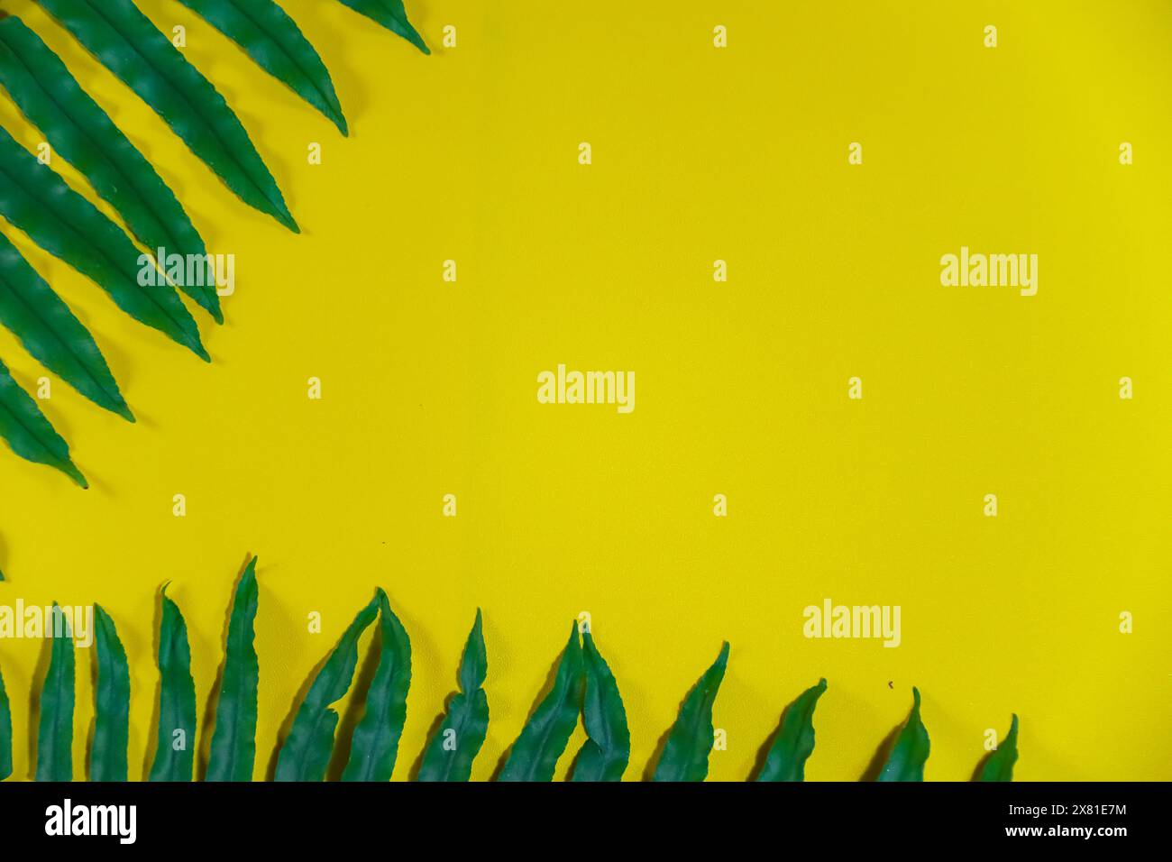 Beautiful bright summer yellow background with green tropical plant ...