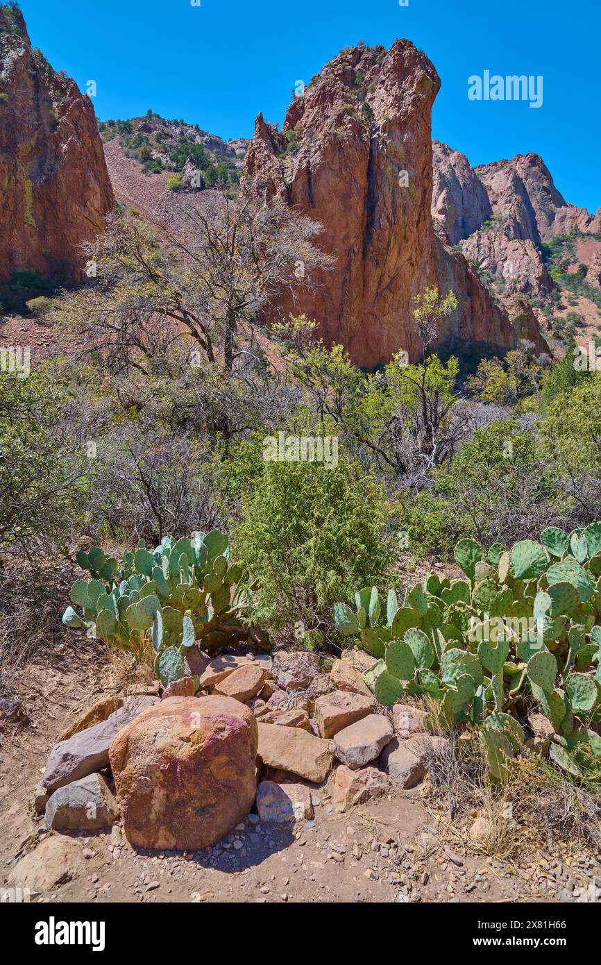 Scenic desert landscape along the Window Trail in Big Bend National ...