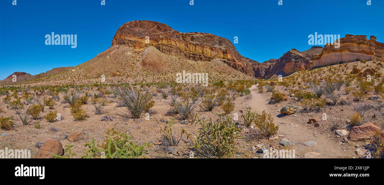 Rock formations along the Lower Burro Mesa Pouroff Trail at Big Bend ...