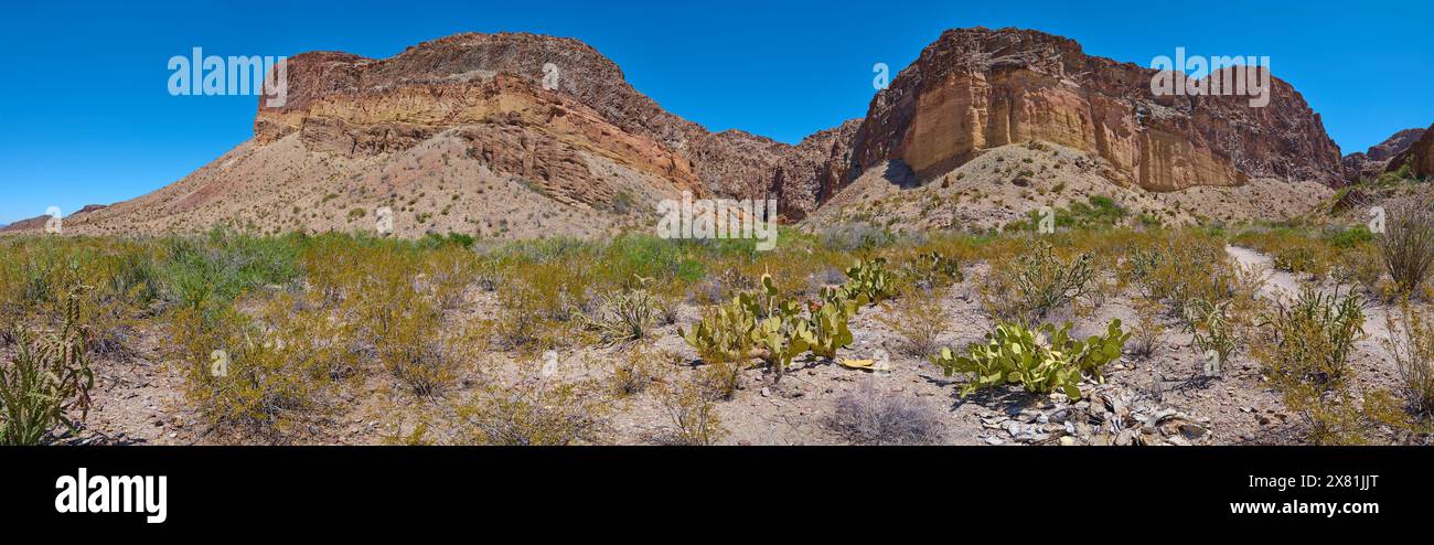 Rock formations along the Lower Burro Mesa Pouroff Trail at Big Bend ...